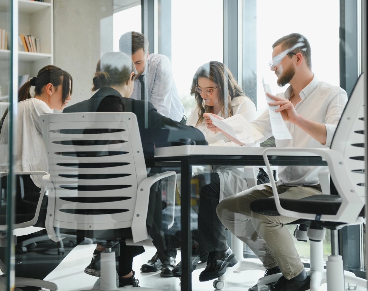 Business Integrator Services - Blue Skies Consulting